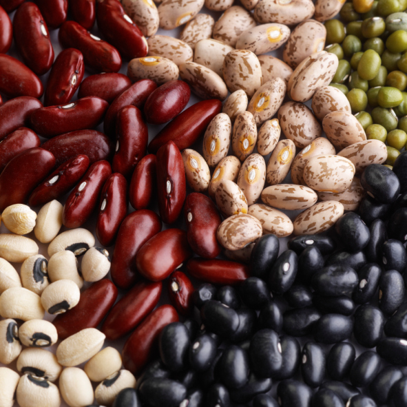 The Health Benefits of Beans for your Body and Mind